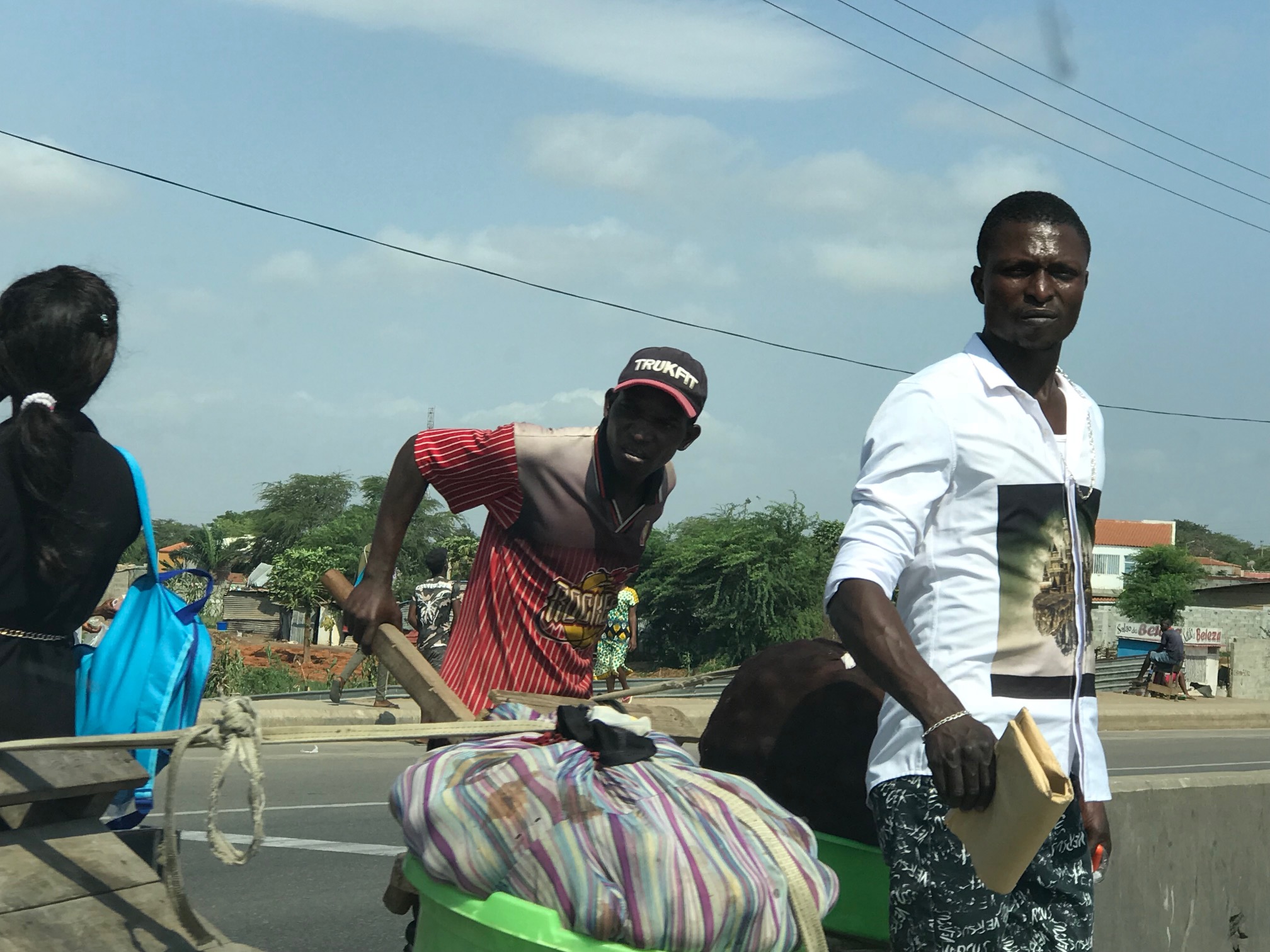 Rzepak i kawa w najnowszym raporcie FAS GAIN - PPR