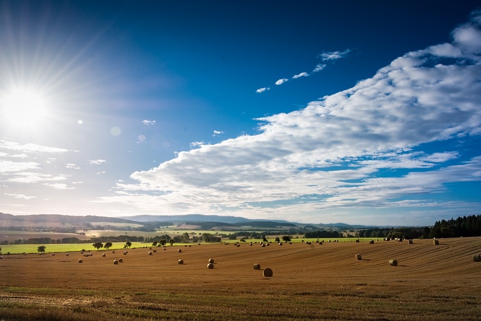 Polskie rolnictwo bez retuszu - PPR